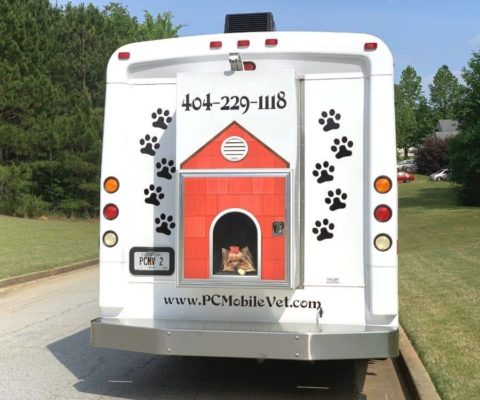 Best Mobile Veterinarian In Covington, GA | Paws & Claws